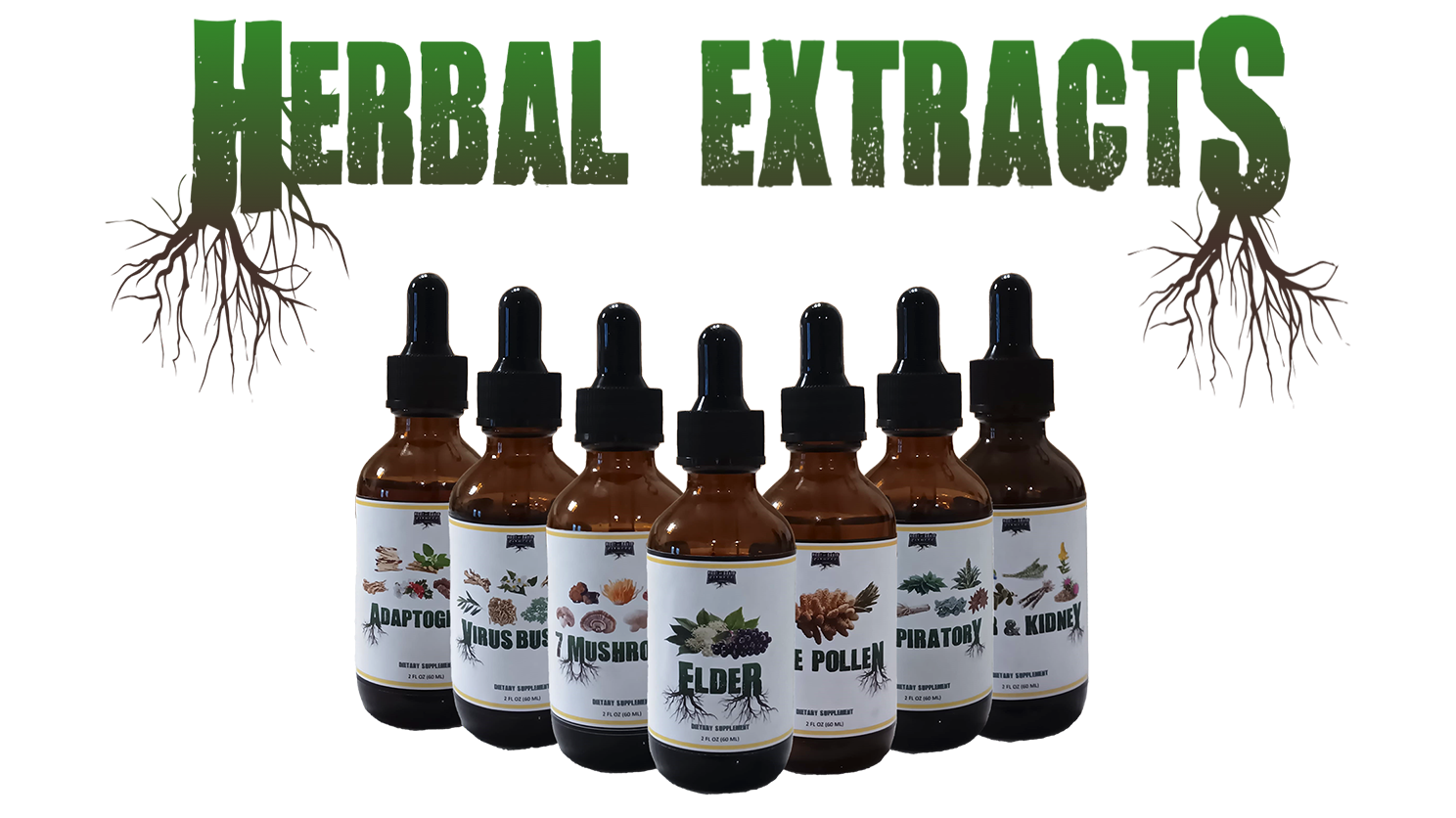 Root of David Fitness – Root of David Fitness LLC